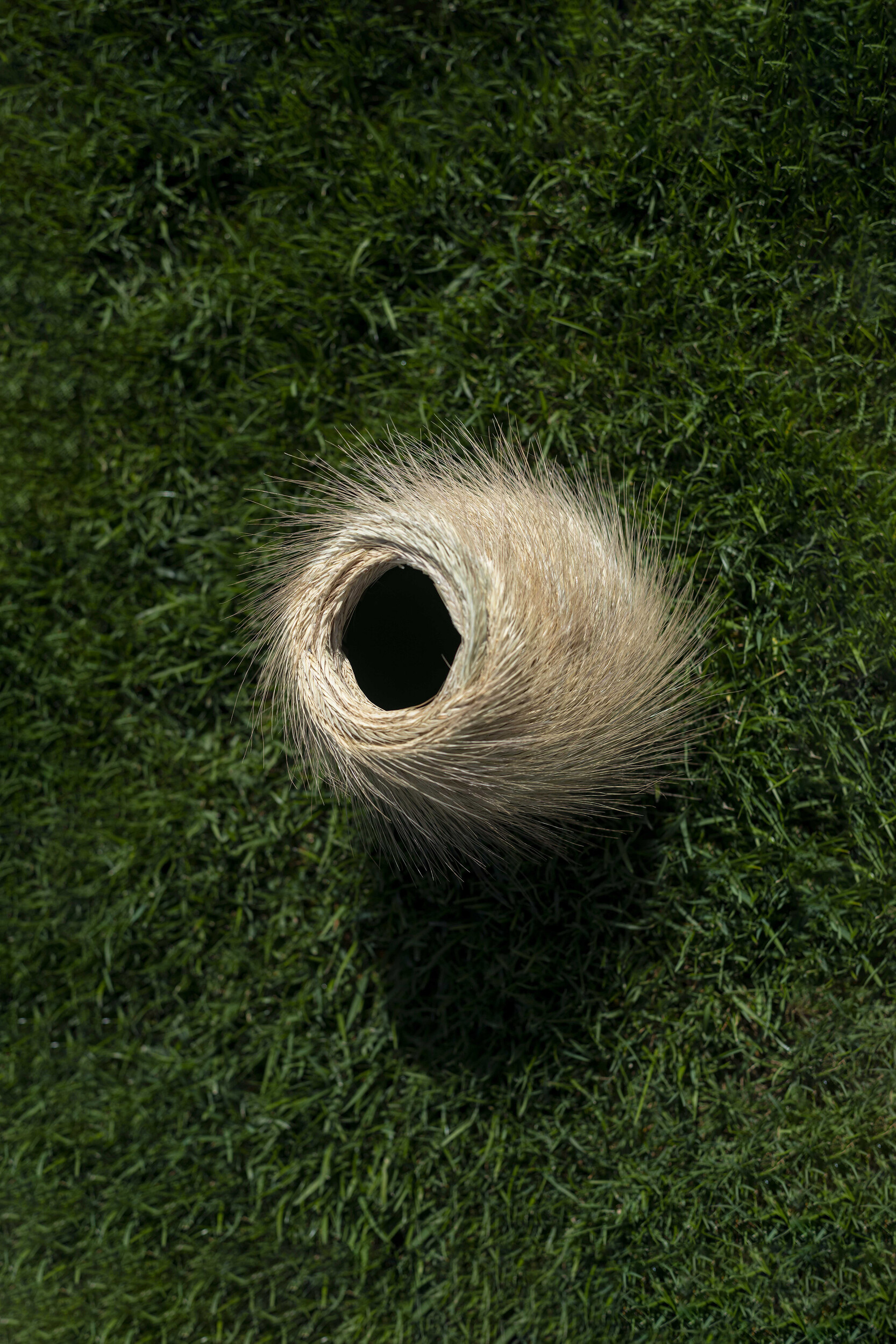 Emma Bruschi | Design Parade 2023